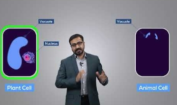 KIPS VIRTUAL: Virtual Learning That Transforms Actuality